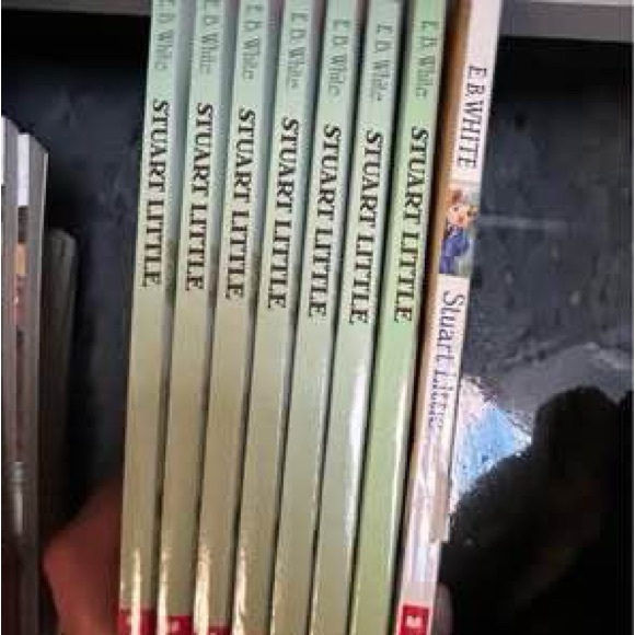 Other | Stuart Little Book Set By Eb White | Poshmark